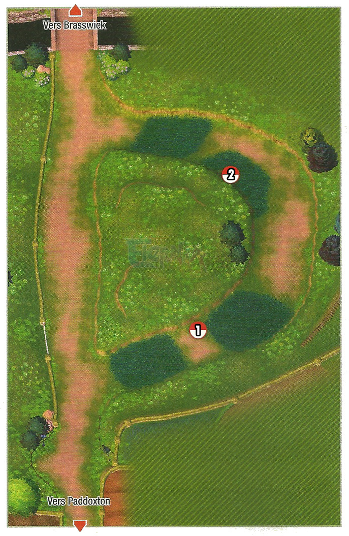 Guide des Lieux à Galar - Route 1 - Eternia