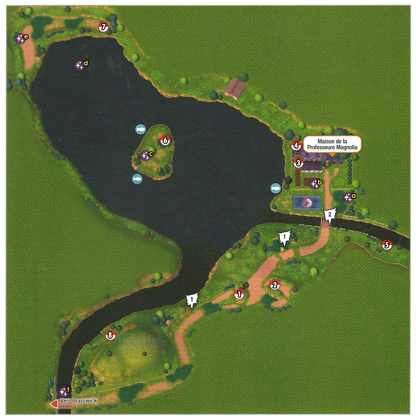 Guide des Lieux à Galar - Route 2 - Eternia