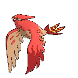 Flambusard / Talonflame - Pokédex : toutes les infos sur les Pokémon