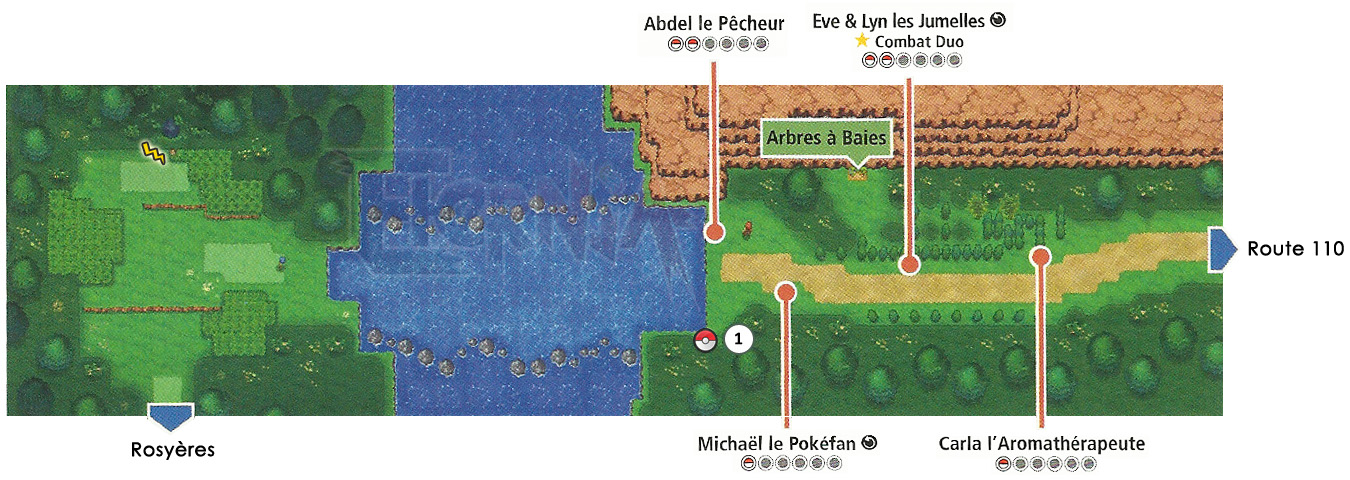 Guide des Lieux à Hoenn - Route 103 - Eternia