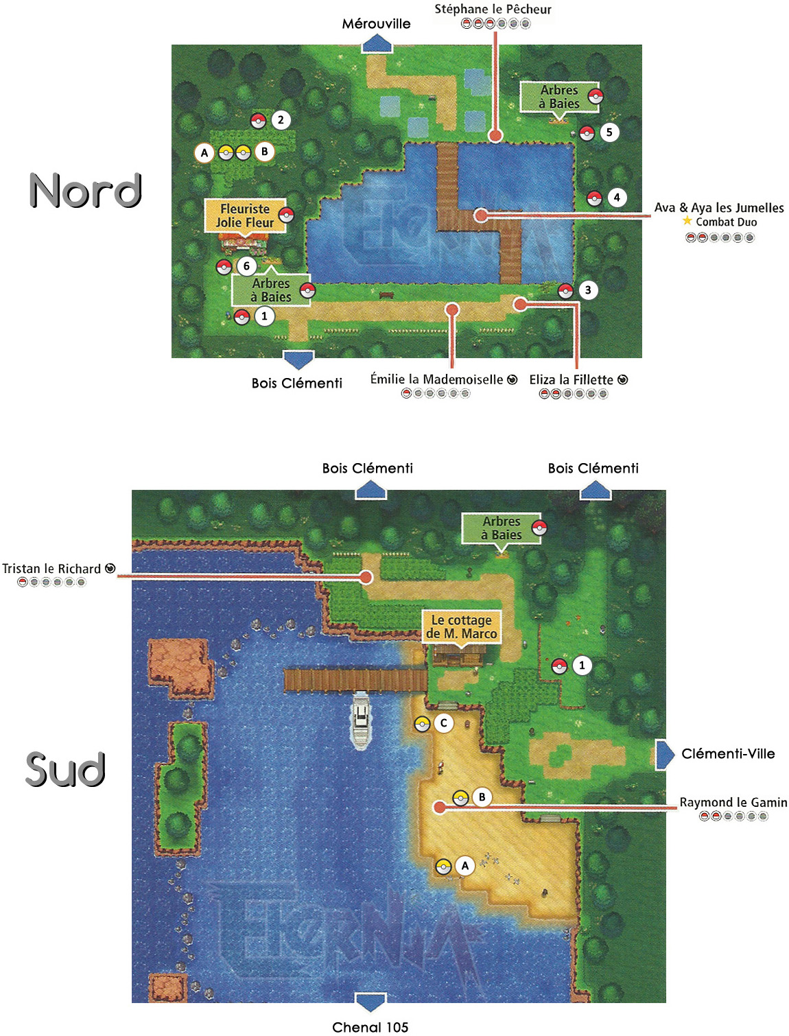 Guide des Lieux à Hoenn - Route 104 - Eternia